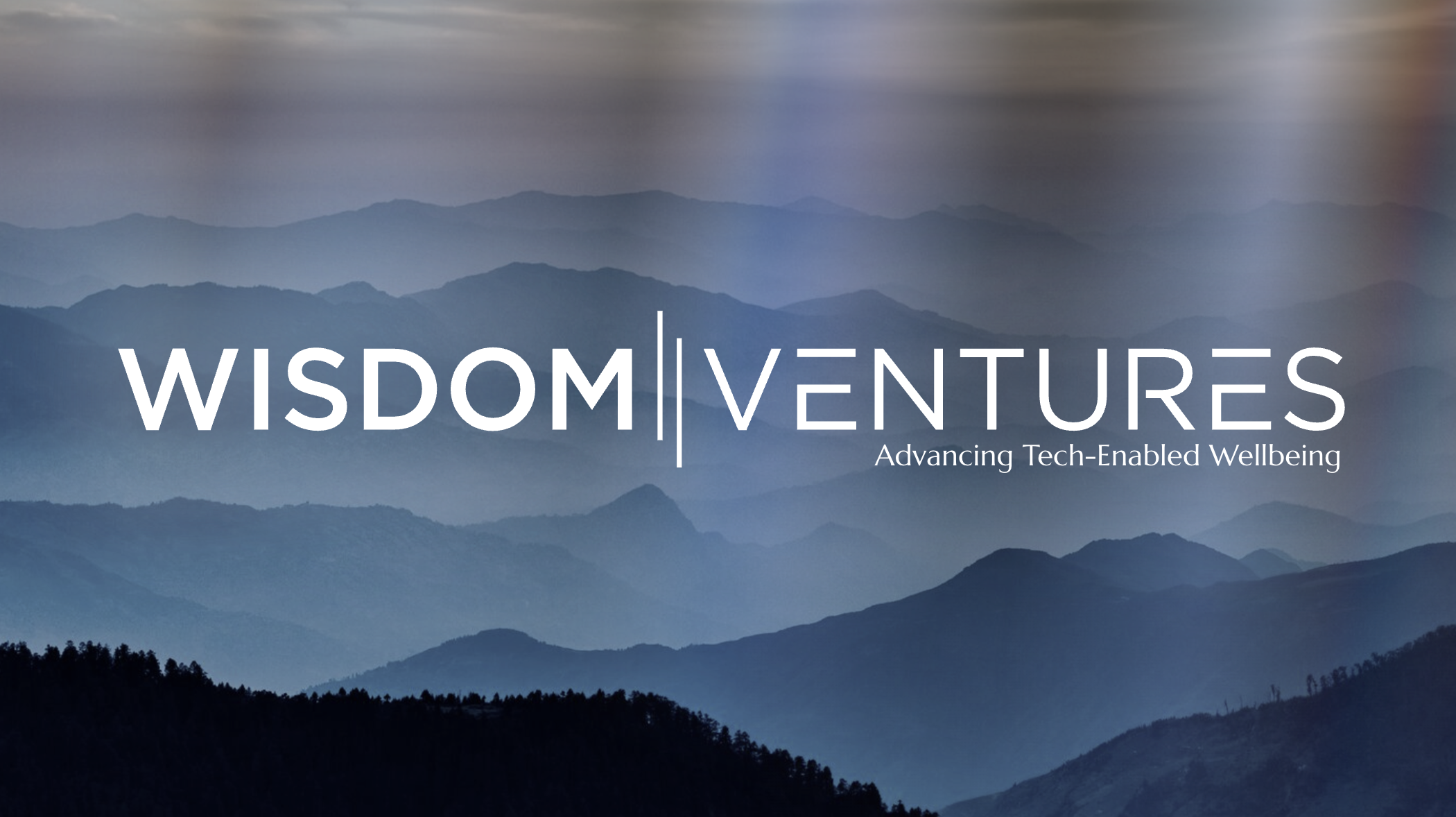Wisdom Ventures Fund